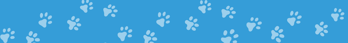 Cards – Gromit Unleashed Shop