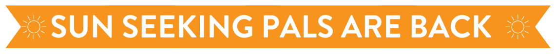 Solar Pals – Gromit Unleashed Shop