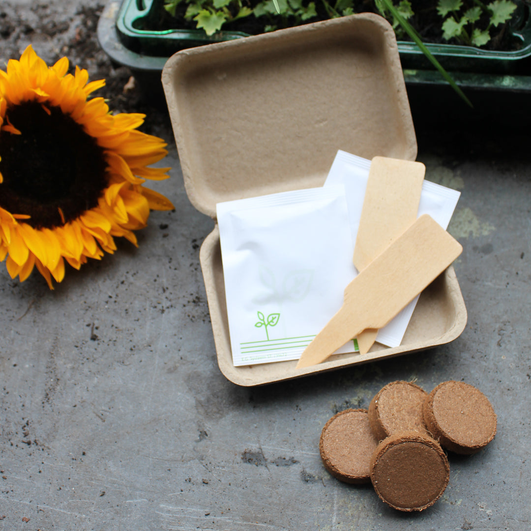 Gardeners Children's Seed Kit – Gromit Unleashed Shop