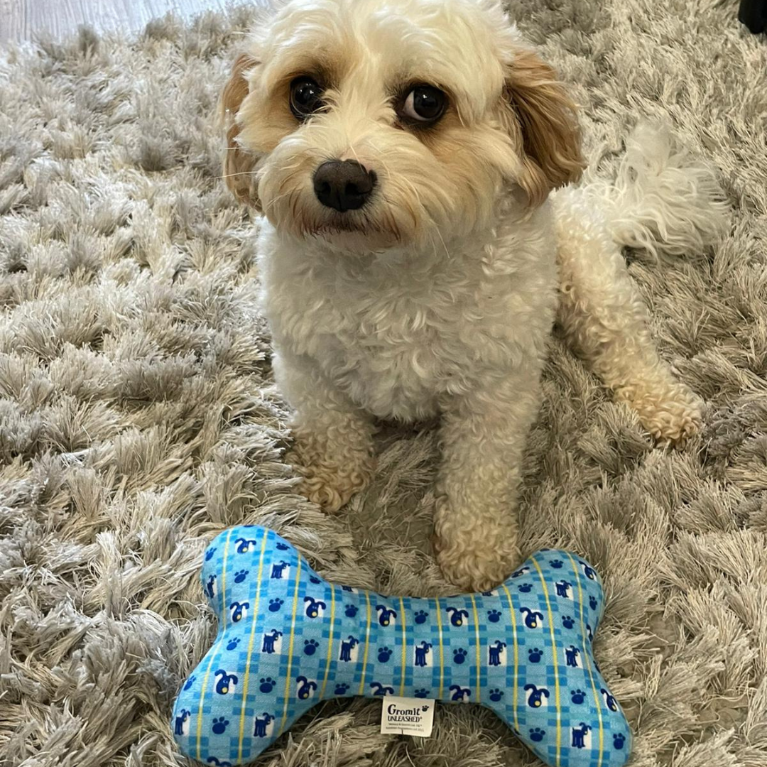 Gromit Unleashed Bone Dog Toy – Gromit Unleashed Shop